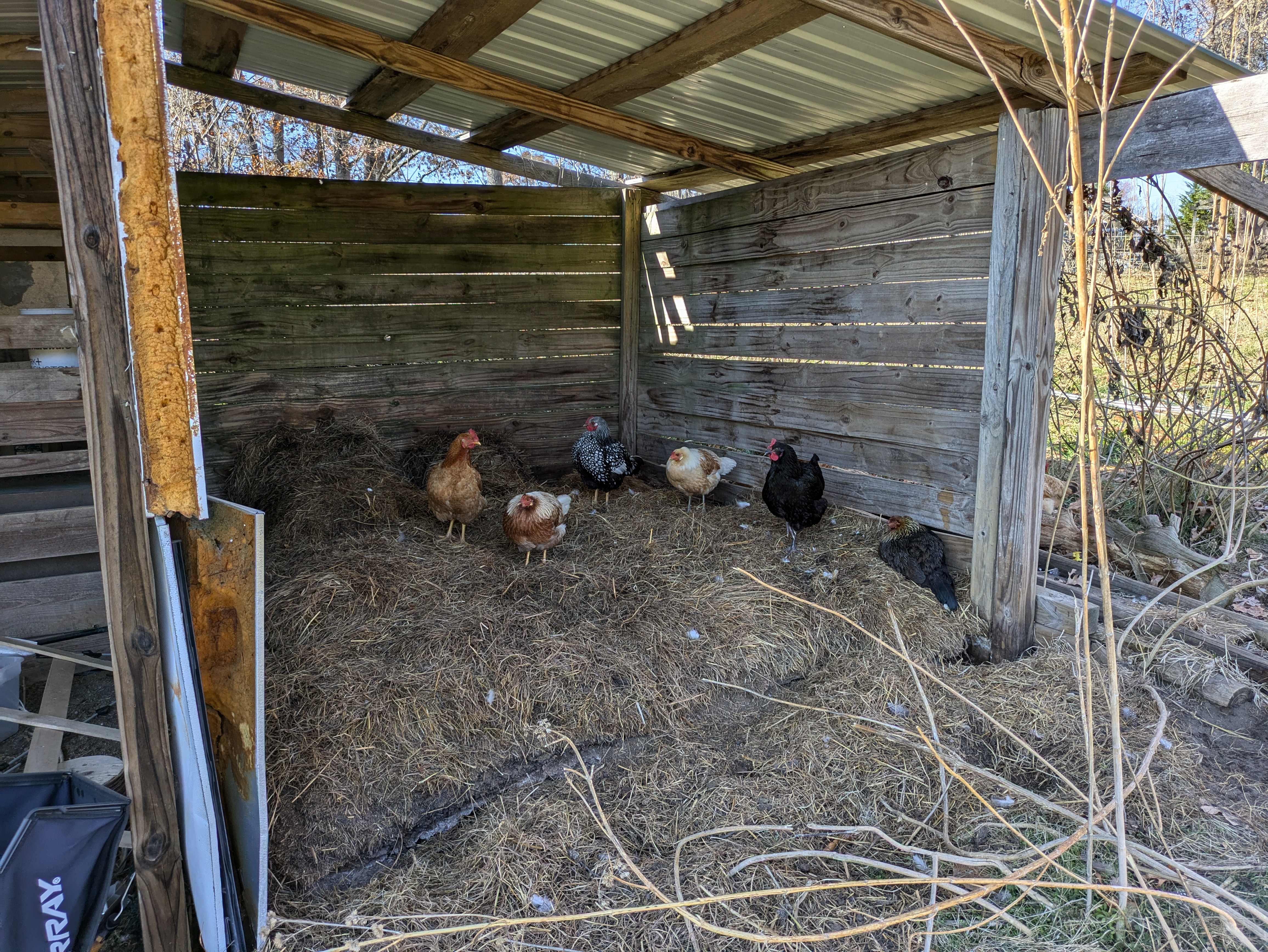 Gee Berry Farm